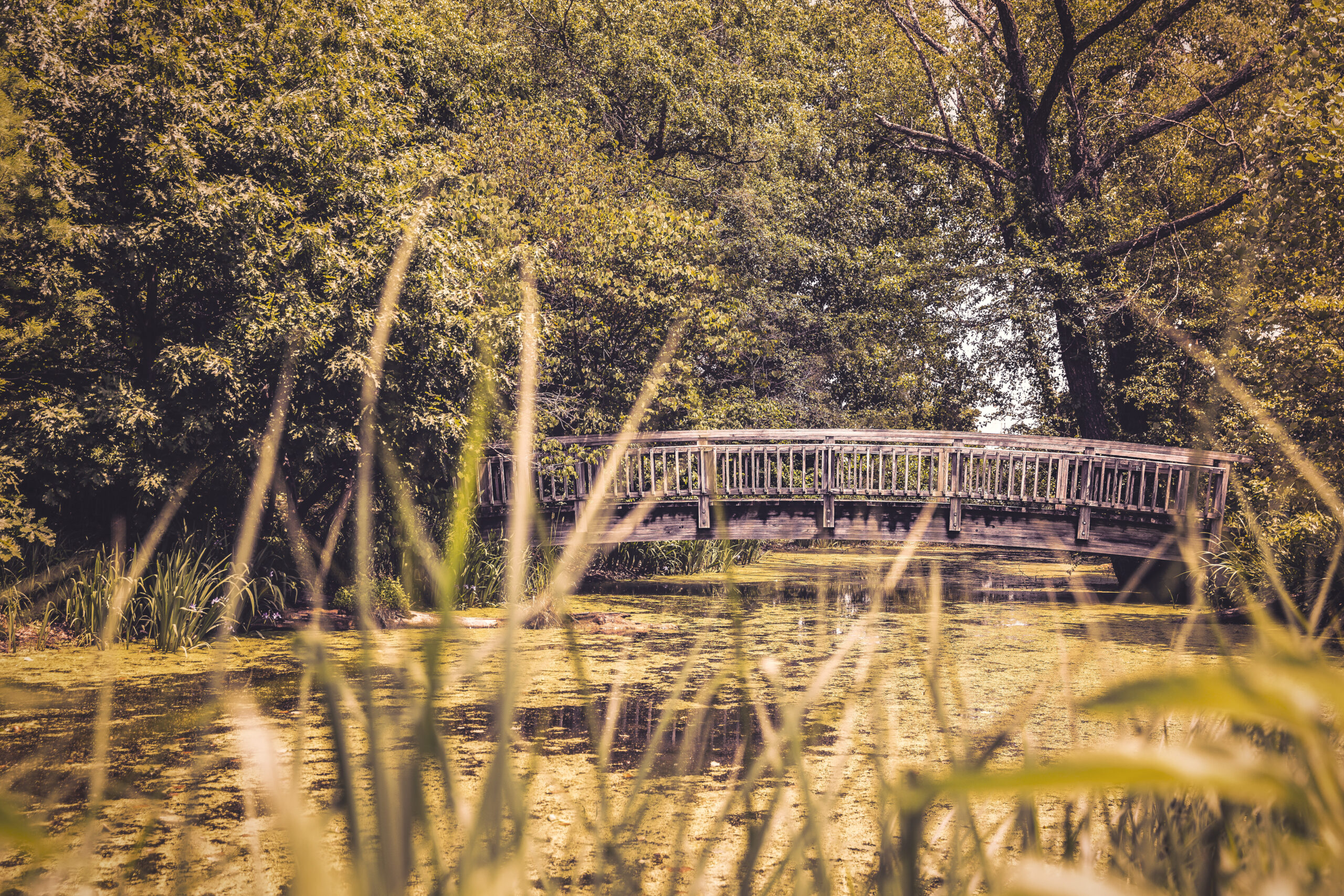 Four New Jersey Estate Planning Laws Essential for Every Estate