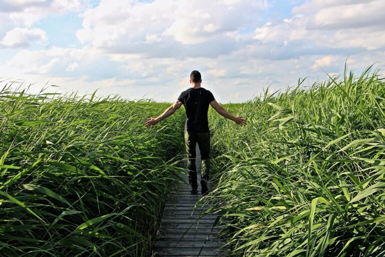 3 Ways Alimony is Changing - The Micklin Law Group, LLC